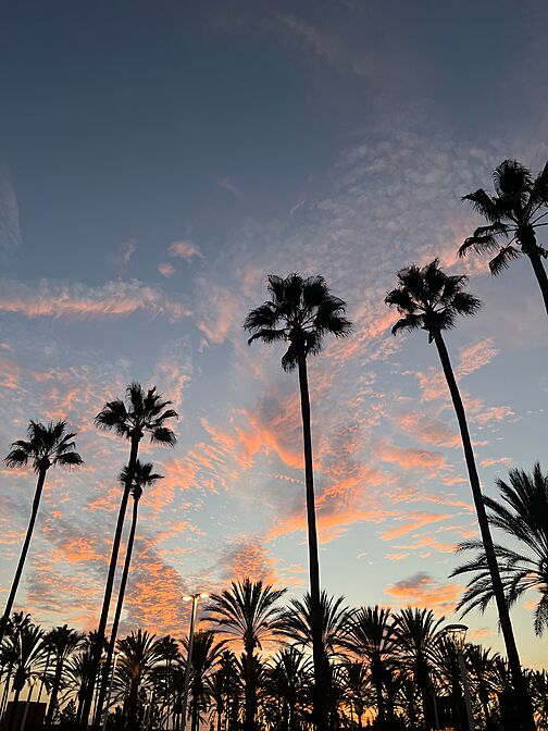 Ayako Bright (aya.bright) | Watch on The Lobby